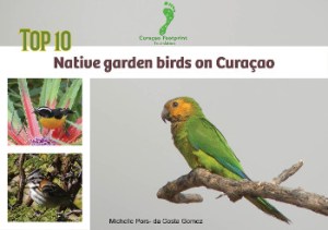 Publications – Bird Watching Curaçao – HOME